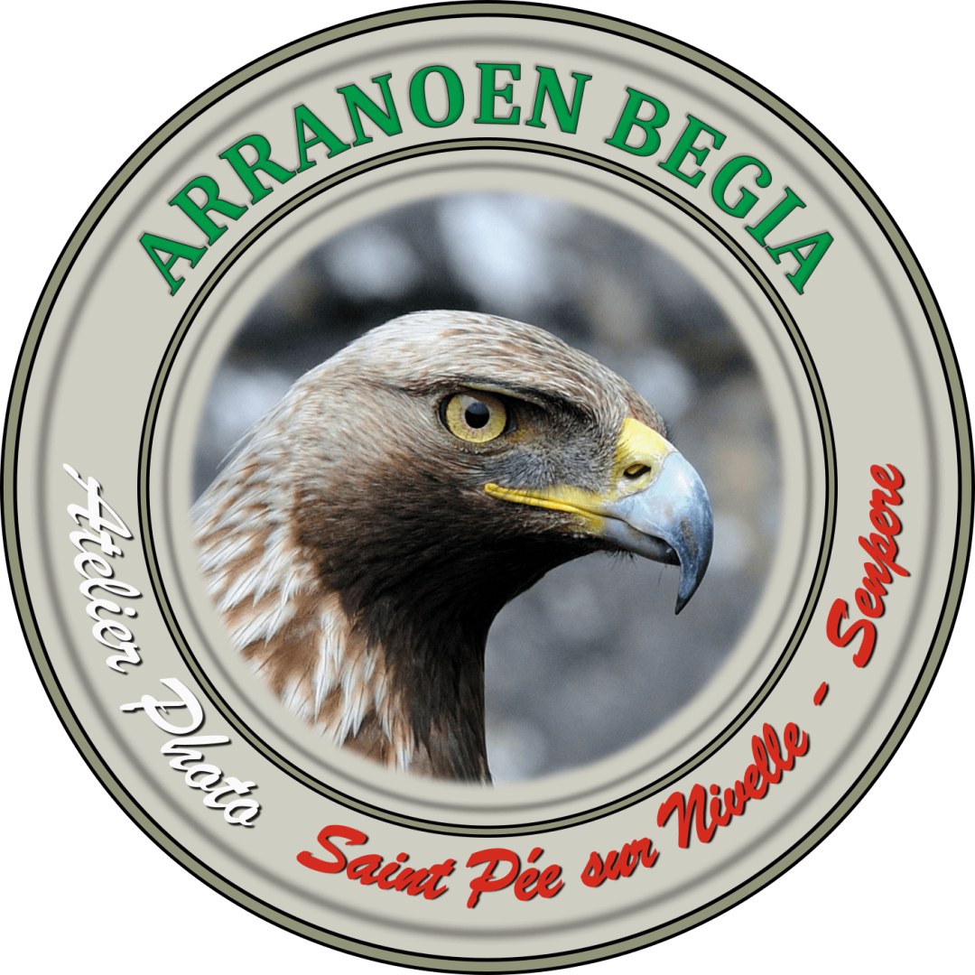 ARRANOEN BEGIA EXPOSE - Saint Pée sur Nivelle